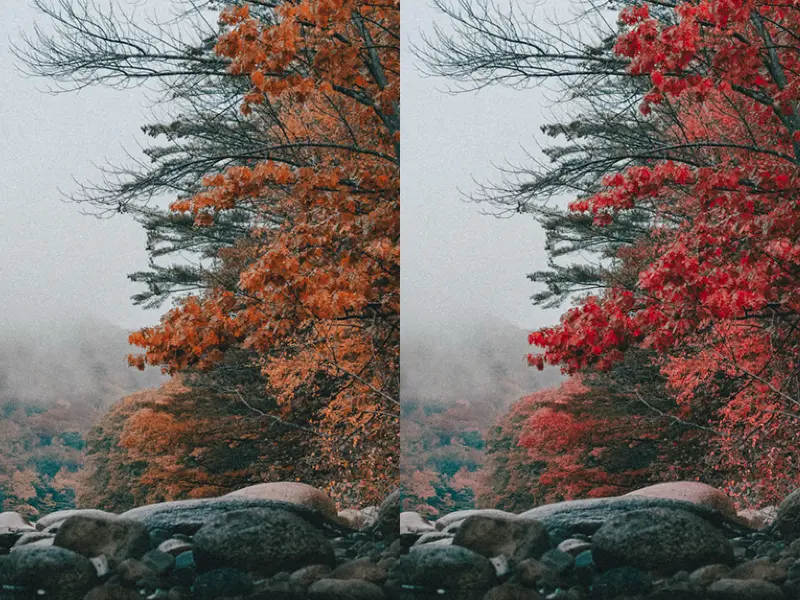 New in Lightroom Classic: Color Grading.